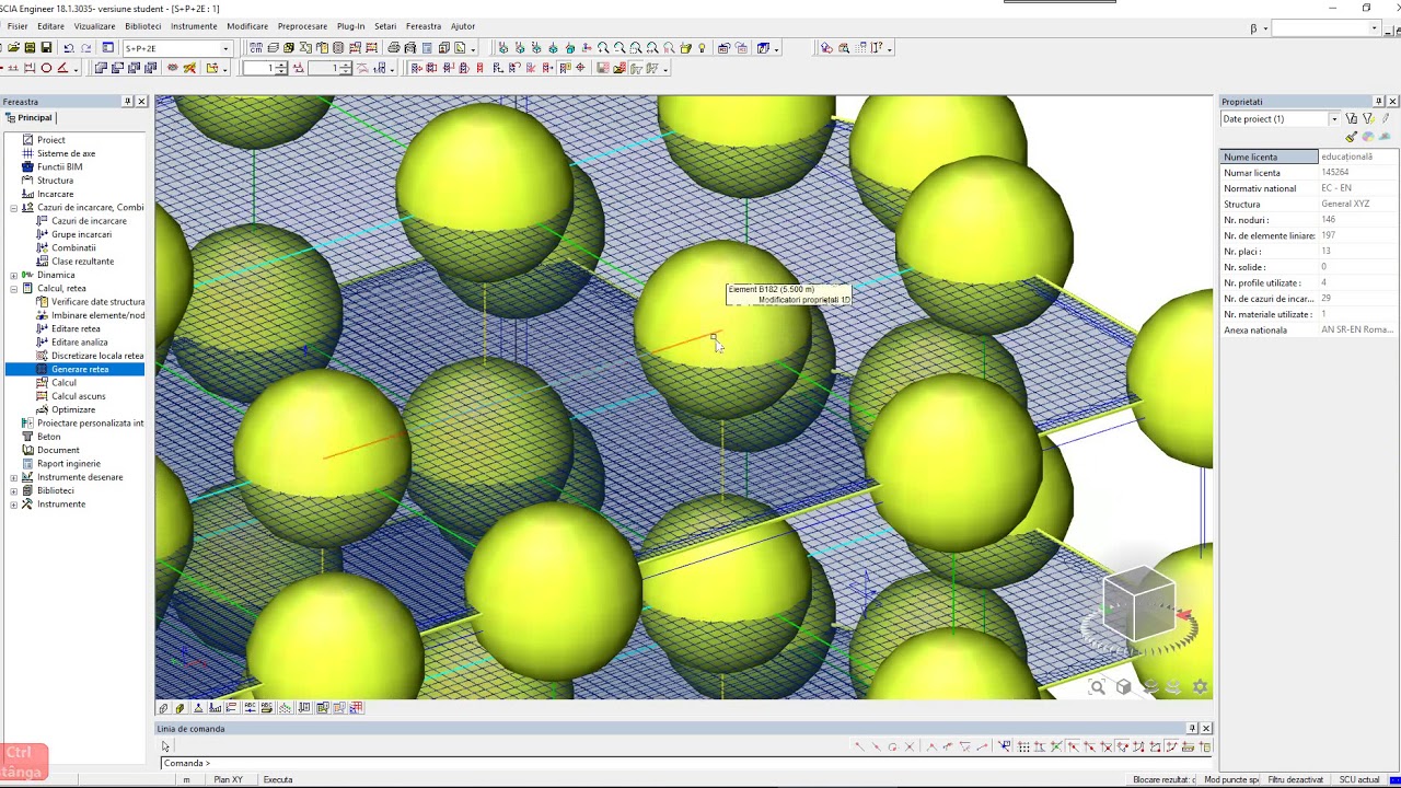 * Setari calcul liniar, discretizare locala retea si rezultate analiza ...
