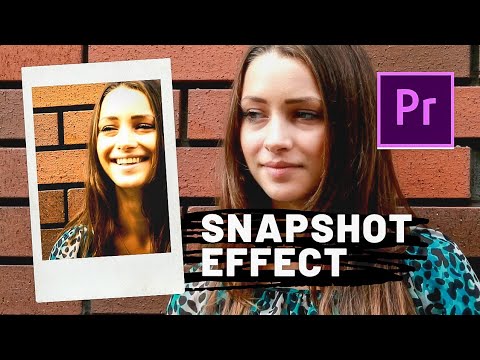 Create CAMERA SNAPSHOT EFFECT In Middle Of The Video | Premiere Pro ...