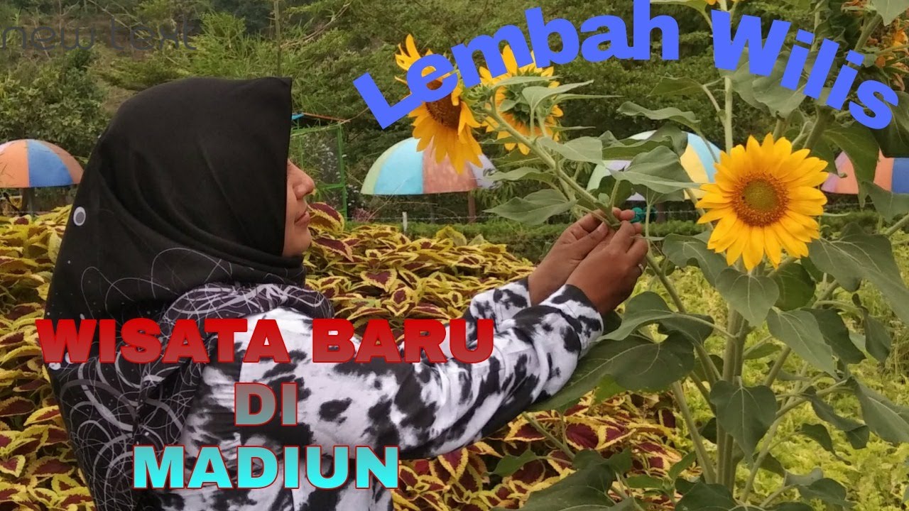 Wisata Baru Di Madiun Lembah Wilis Kresek Madiun - YouTube