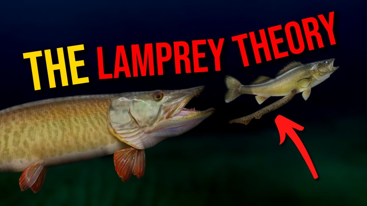 The Lamprey Theory | Ft. Jon Bondy & the Great Lakes Fishery Commission ...