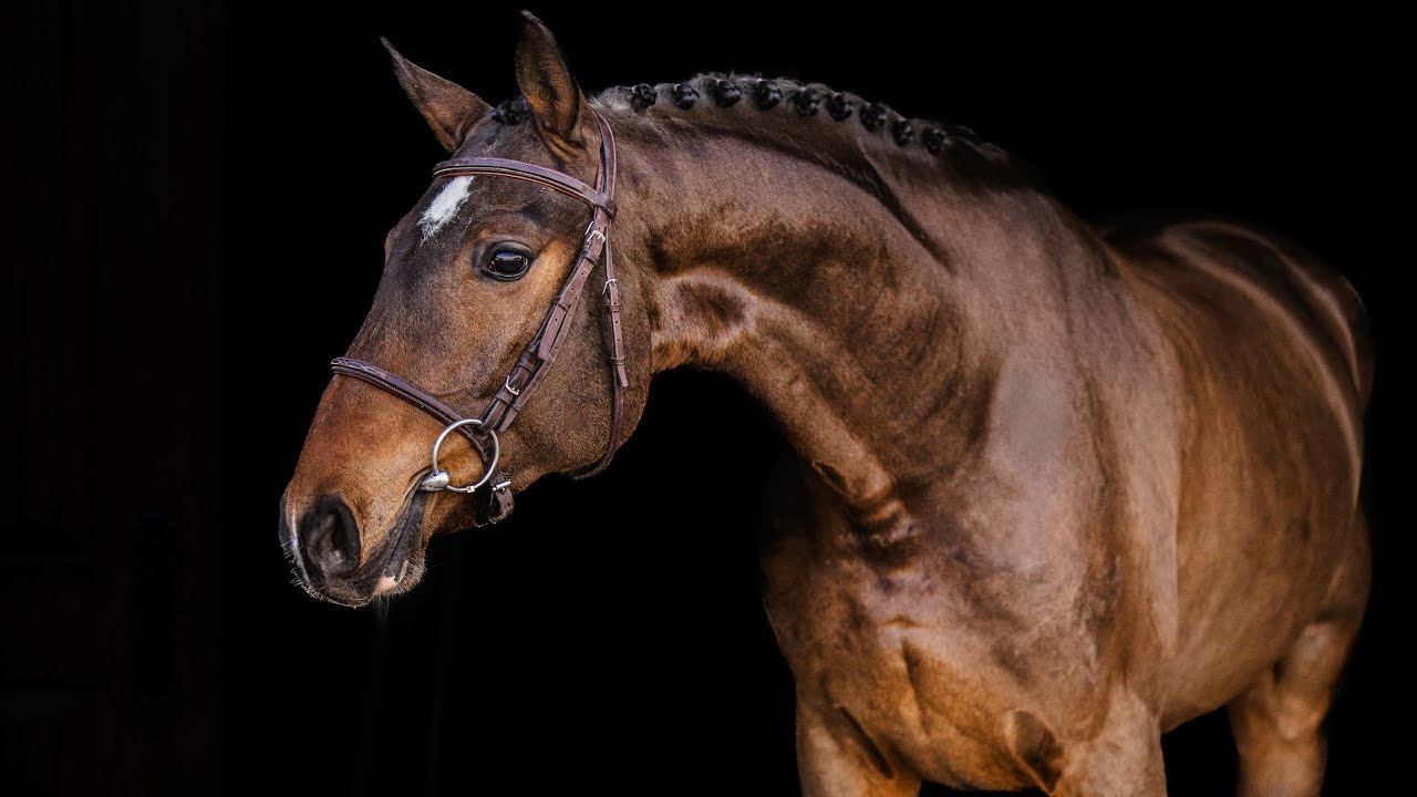 CRAZY HEART | flatwork - YouTube