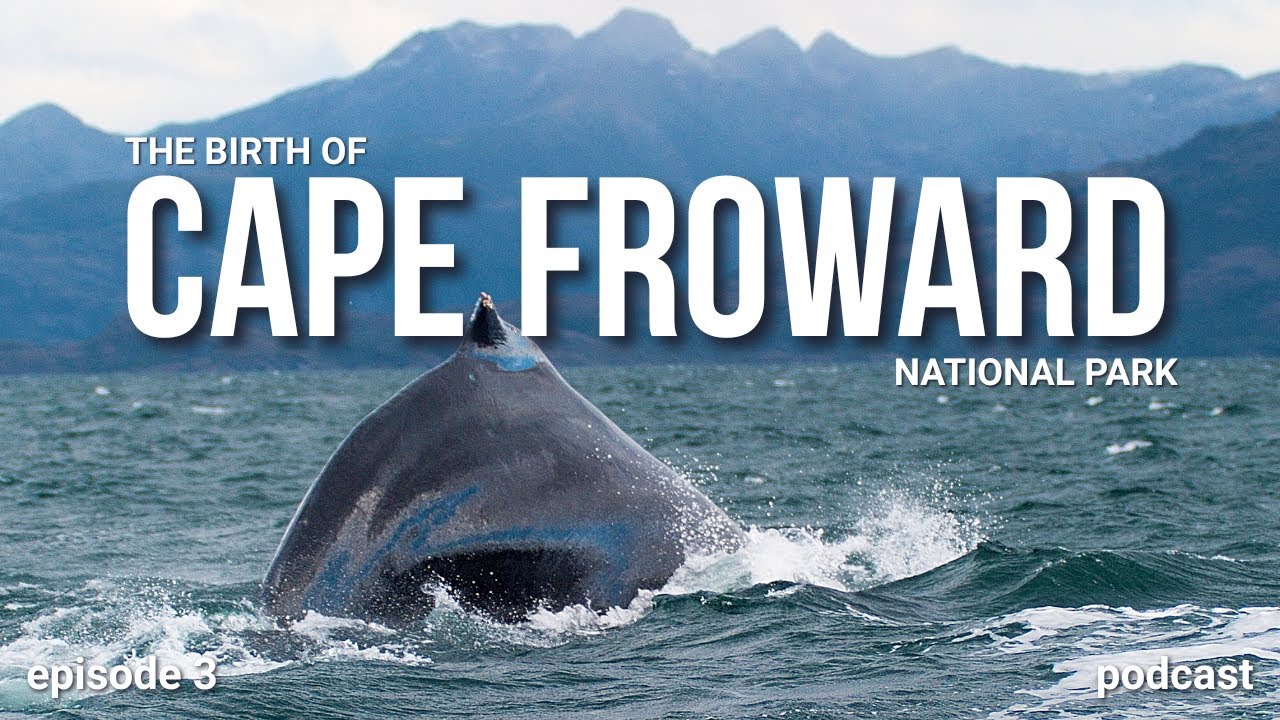 Cape Froward: Building Chile's Newest Mountain-to-Ocean National Park ...