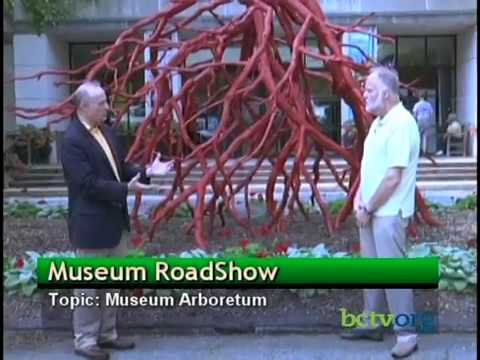 Tour of the Arboretum at the Reading Public Museum. 9-8-17 - YouTube
