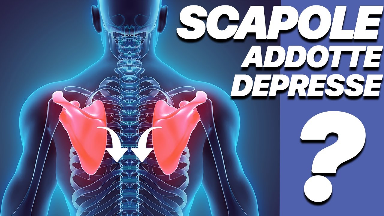 Scapole Addotte e Depresse: Cosa Vuol Dire, Come Si Fa + 5 Errori da ...