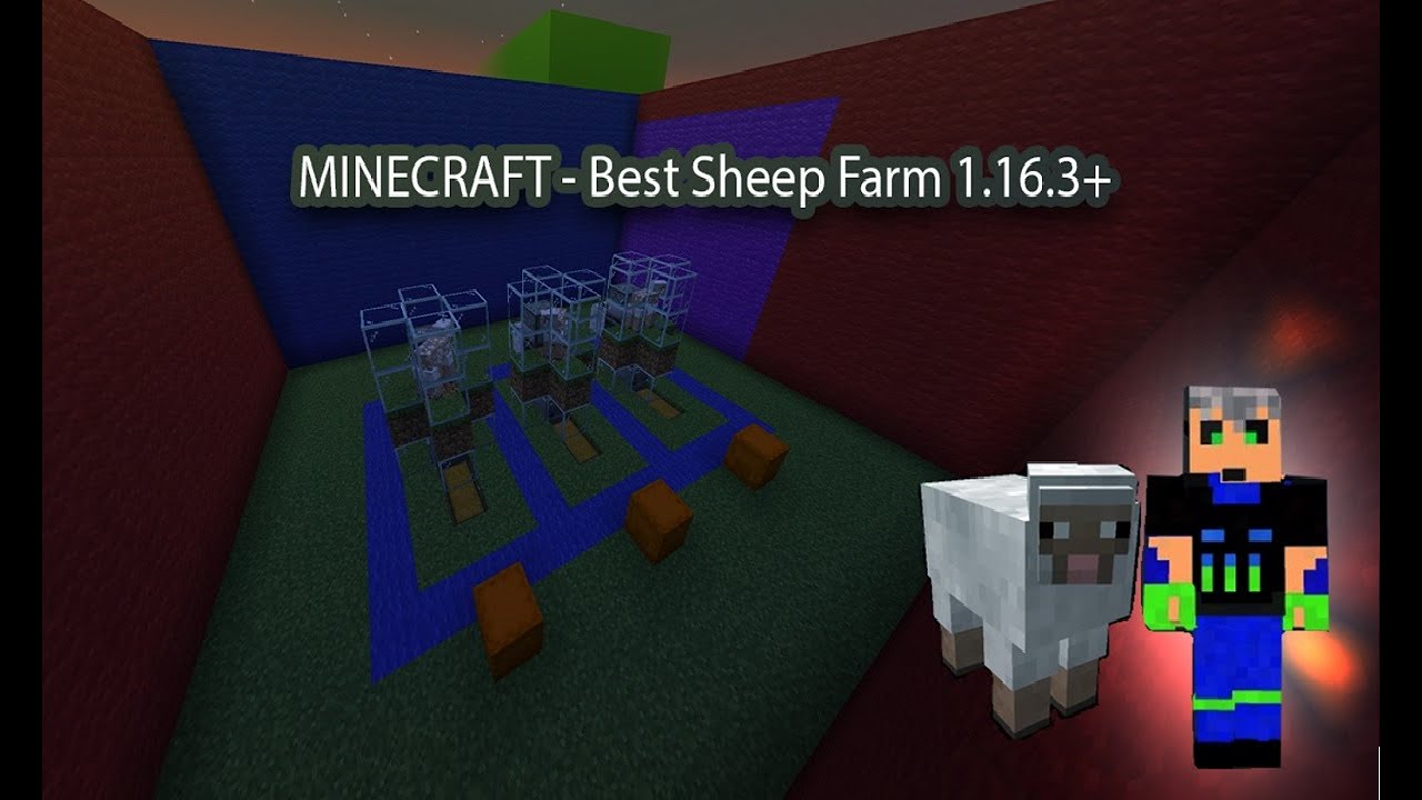 Best sheep and wool farm in Minecraft 1.16.5 - YouTube
