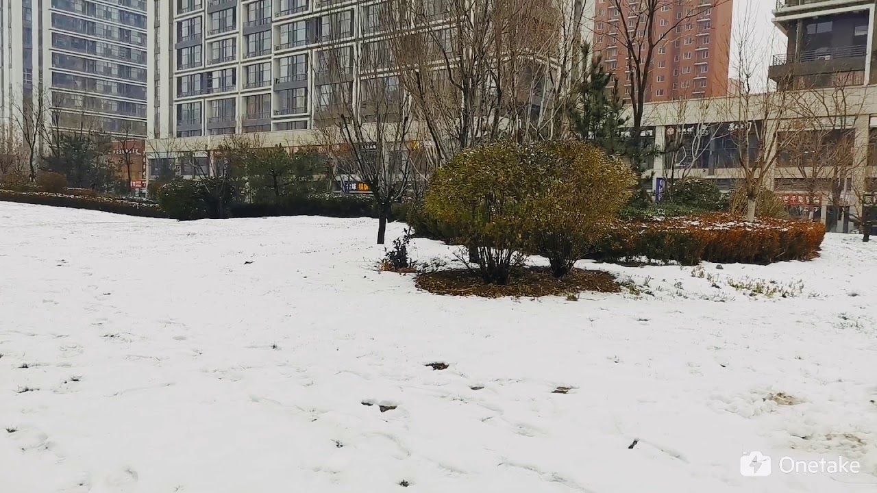 Snow in Beijing December 16, 2019 - YouTube