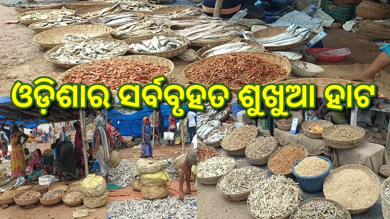 ଓଡିଶାର ସର୍ବବୃହତ ଶୁଖୁଆ ହାଟ ହୁମ୍ମା | biggest dry fish market in odisha ...