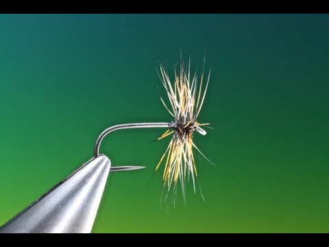 Hackle technique with Barry Ord Clarke - YouTube