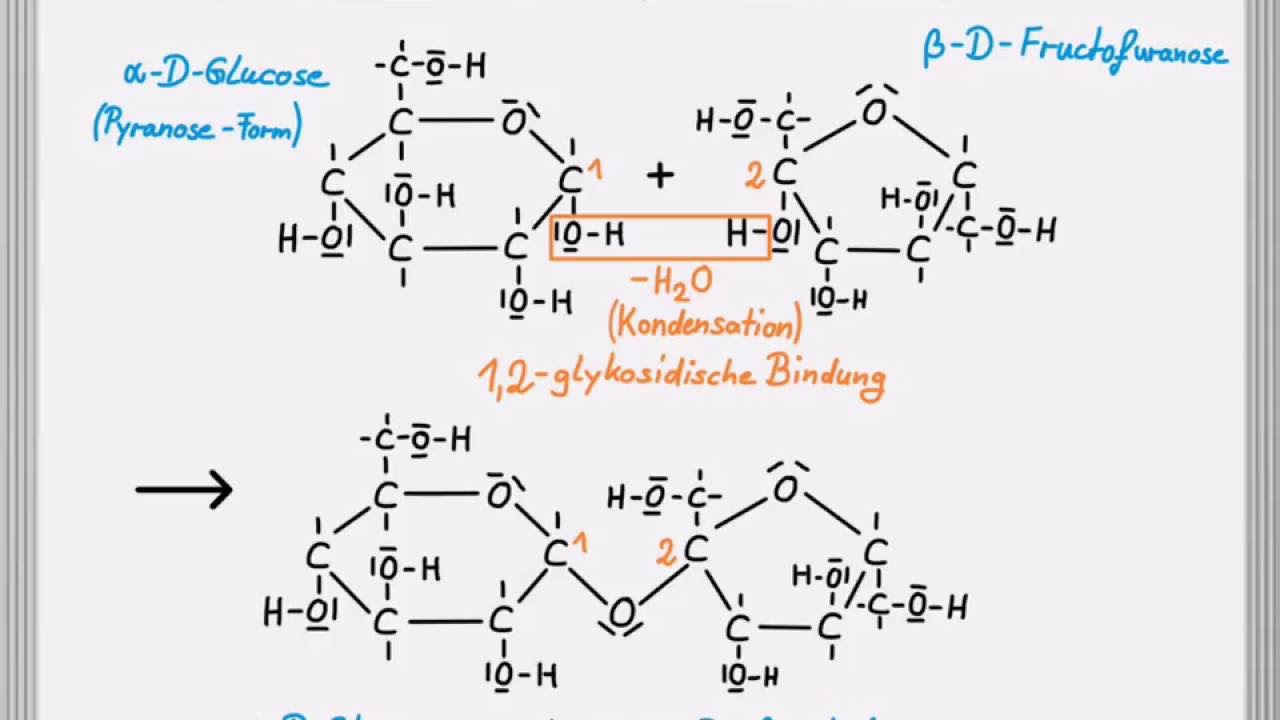 Saccharose - YouTube