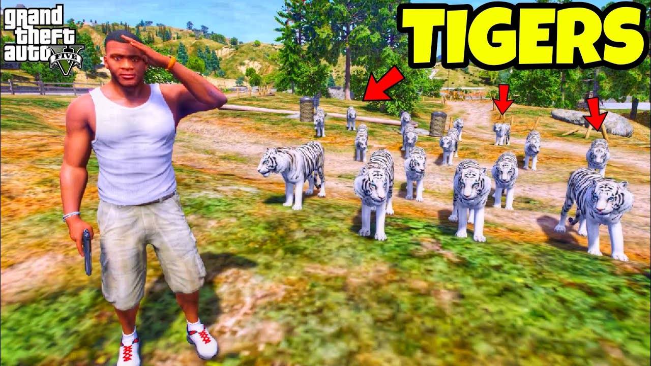 Franklin Rescue Every Innocent White Tigers in GTA 5 - YouTube