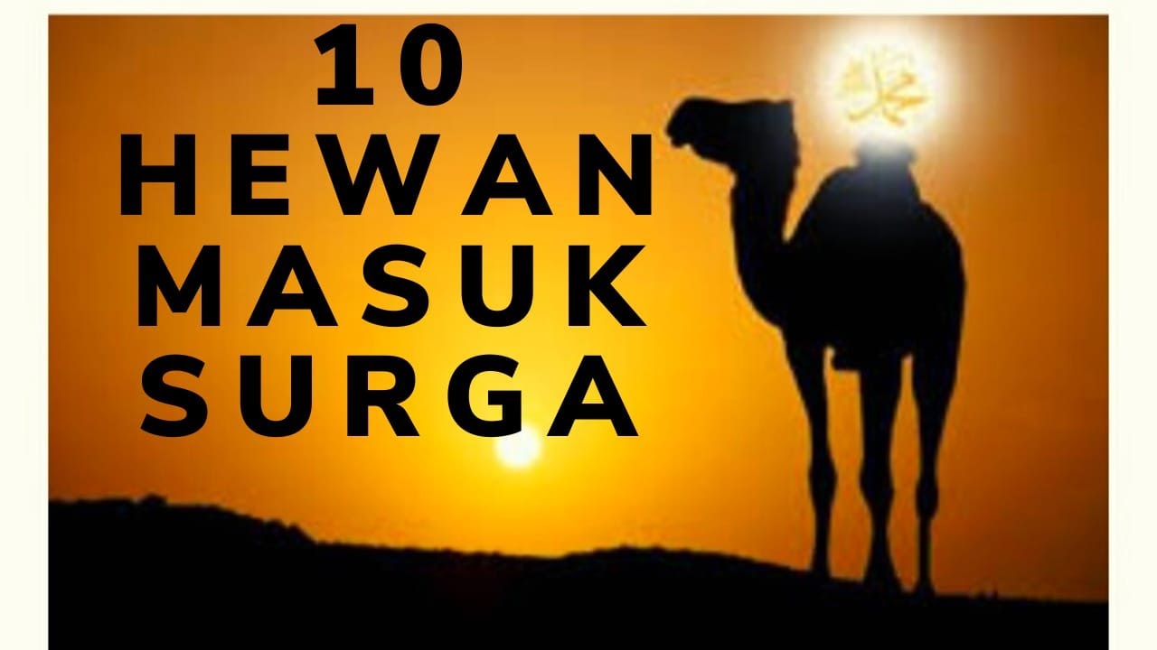 10 HEWAN YANG MASUK SURGA - YouTube
