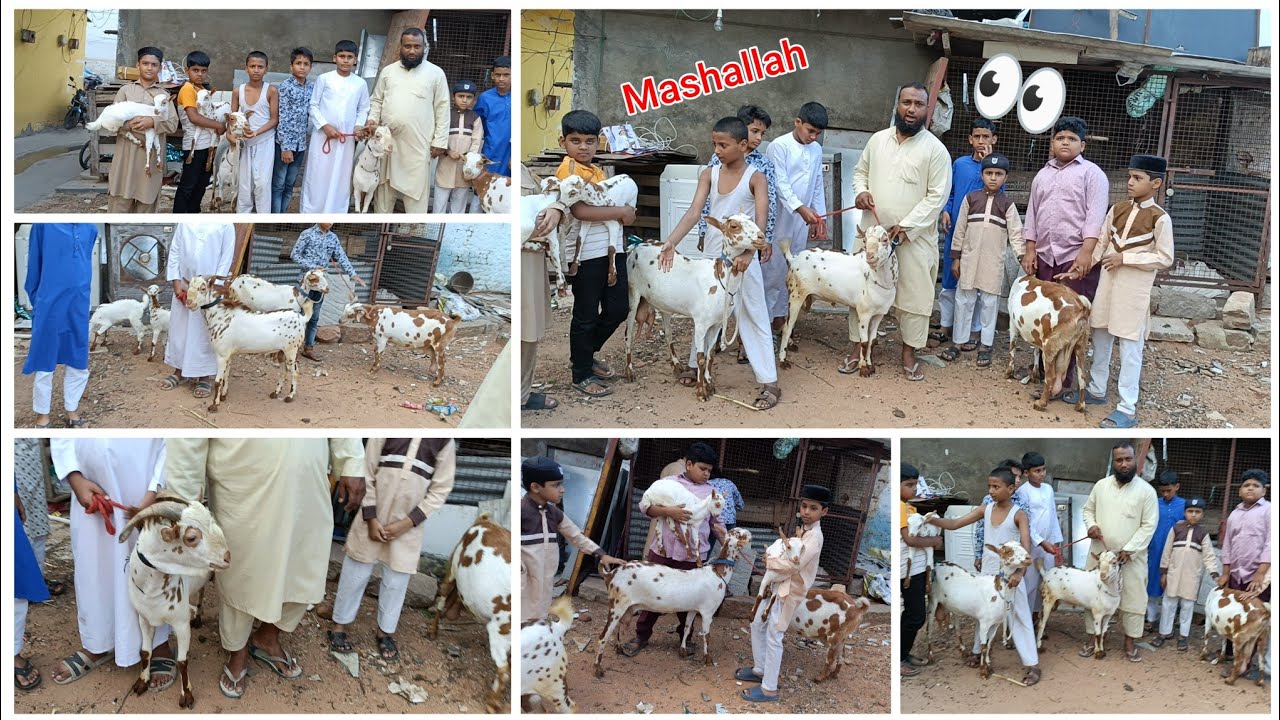 Sasta offer pure quality barbari collection available in Hyderabad ...