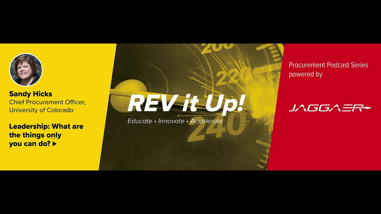 REV2018 Sandy Hicks Podcast - YouTube