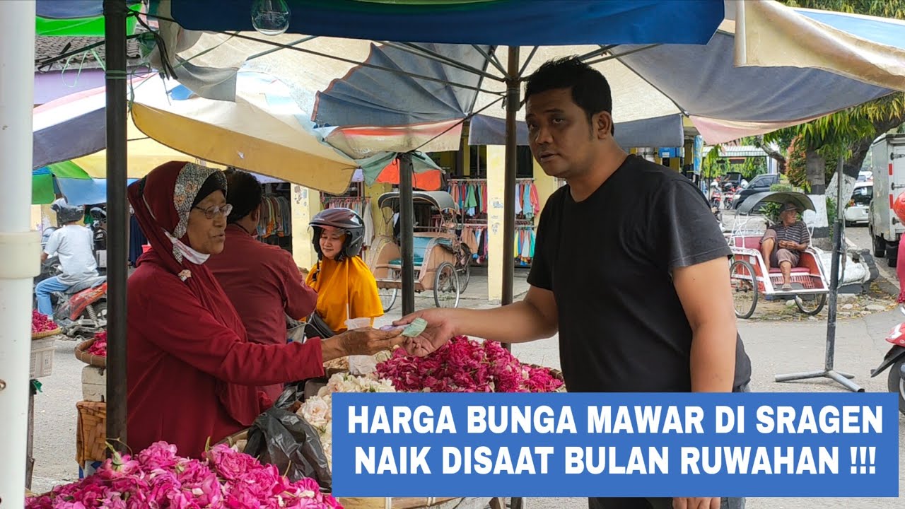Bisnis Bunga Mawar Di Sragen Untung Besar // Harga Bunga Sekar Naik ...