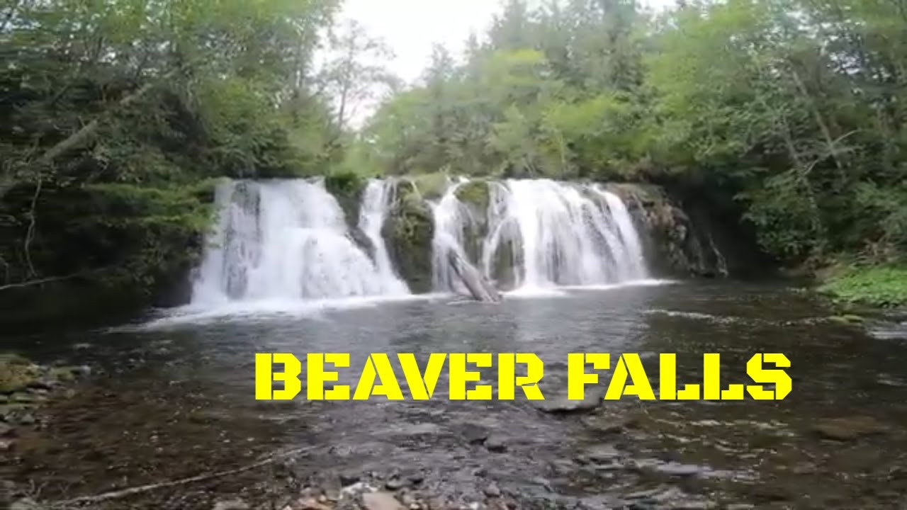 BEAVER FALLS | OLYMPIC PENINSULA | WASHINGTON | 4K - YouTube