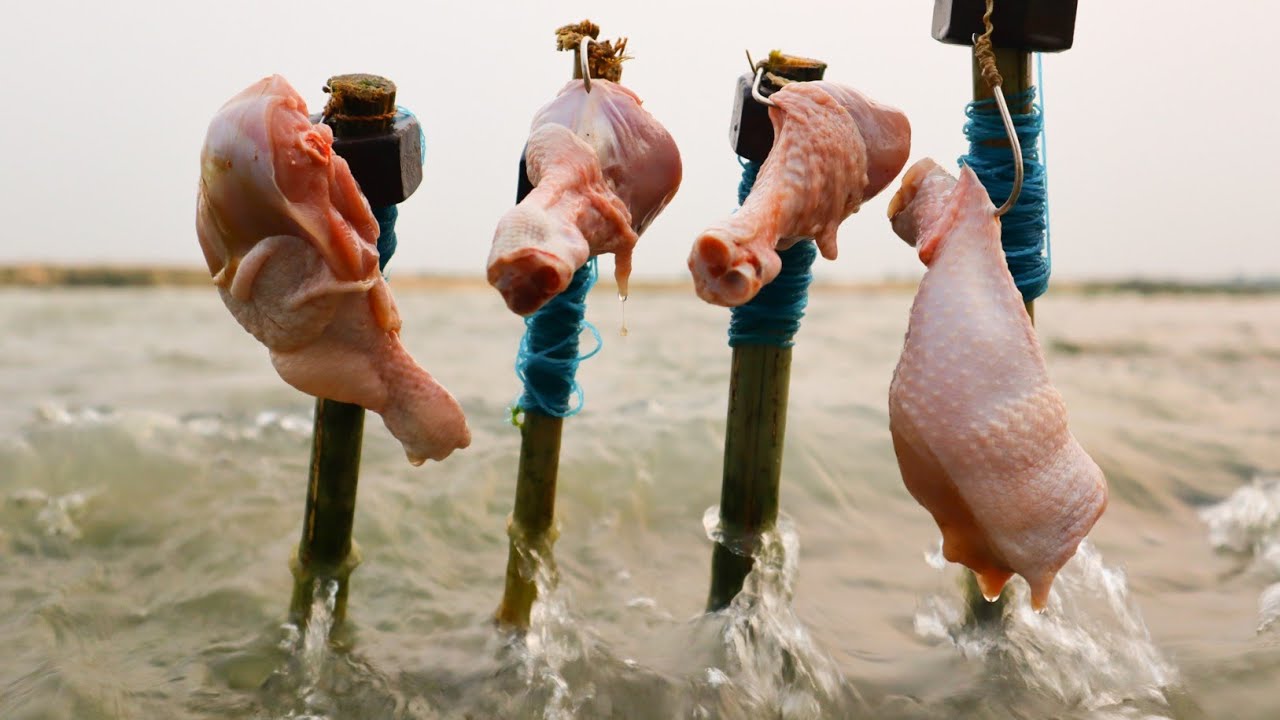 Fishing video || Use Chicken LEG piece || girl catching big monster ...