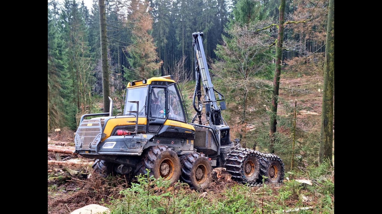 *The BEAR in strongwood* • Ponsse Bear - H8 • Starkholz • Part-2 ...