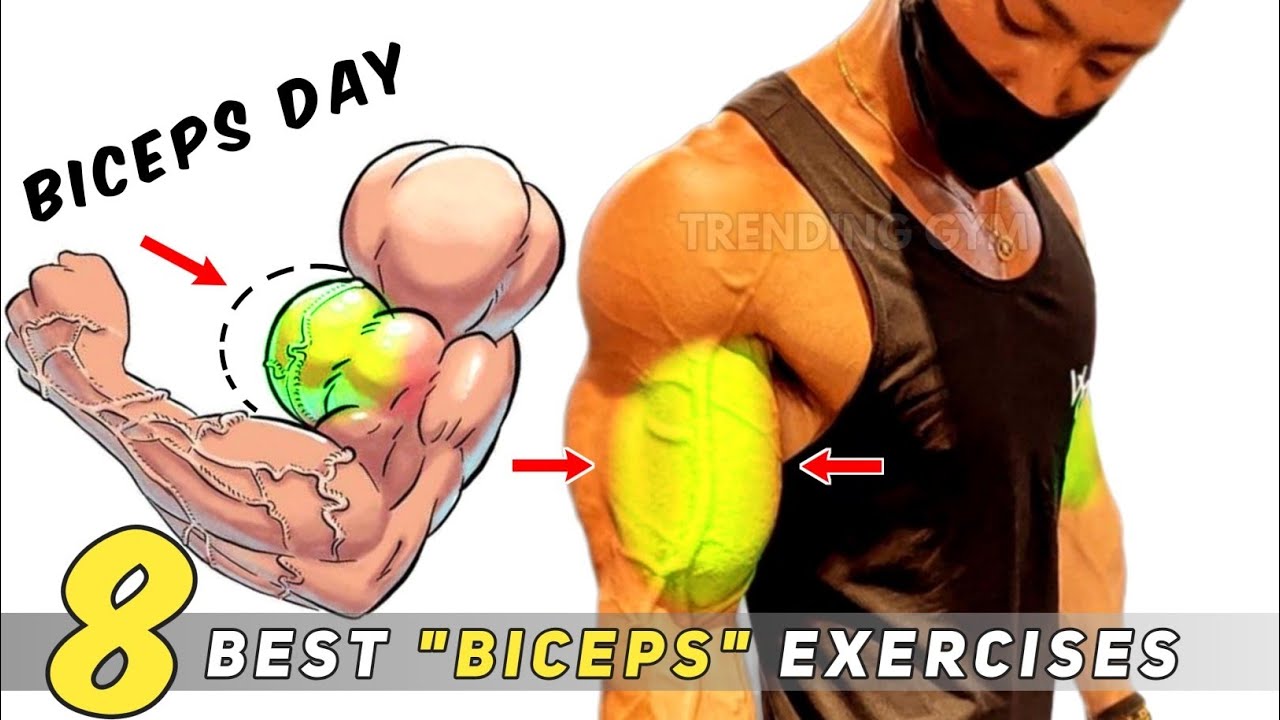 How to Build Bigger Biceps - (8 Effective Biceps Exercises) - YouTube