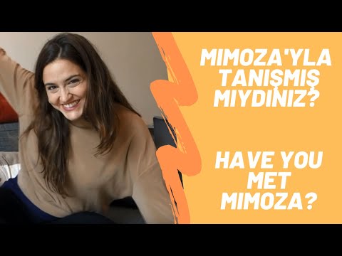 Mimoza'yla Tanışmış mıydınız? / Have You Met Mimoza?