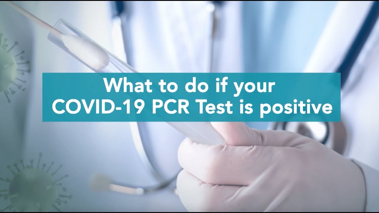 What to do if your COVID-19 PCR test is positive - YouTube