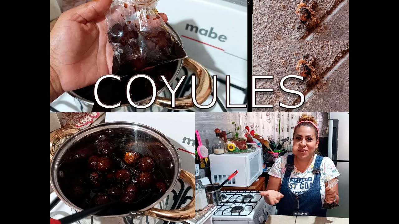 🔴Receta de COQUITOS o COYULES: ¡Postre Tradicional y Delicioso! - YouTube