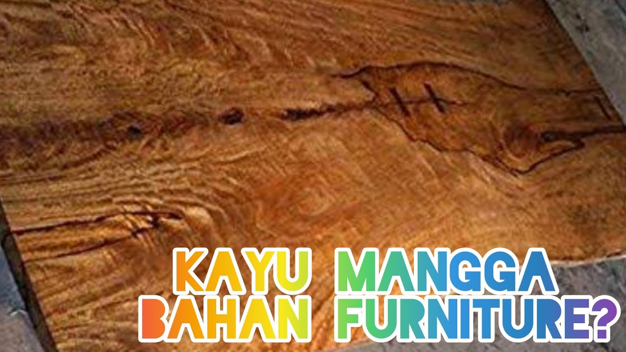 Kayu mangga jadi bahan mebel, keunggulan & kekurangan kayu mangga - YouTube