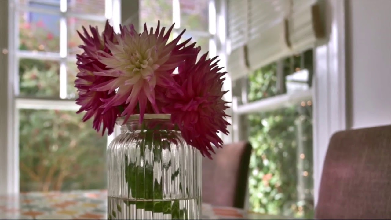 Recovery Lighthouse Addiction Rehab (Virtual Tour Guide) - YouTube