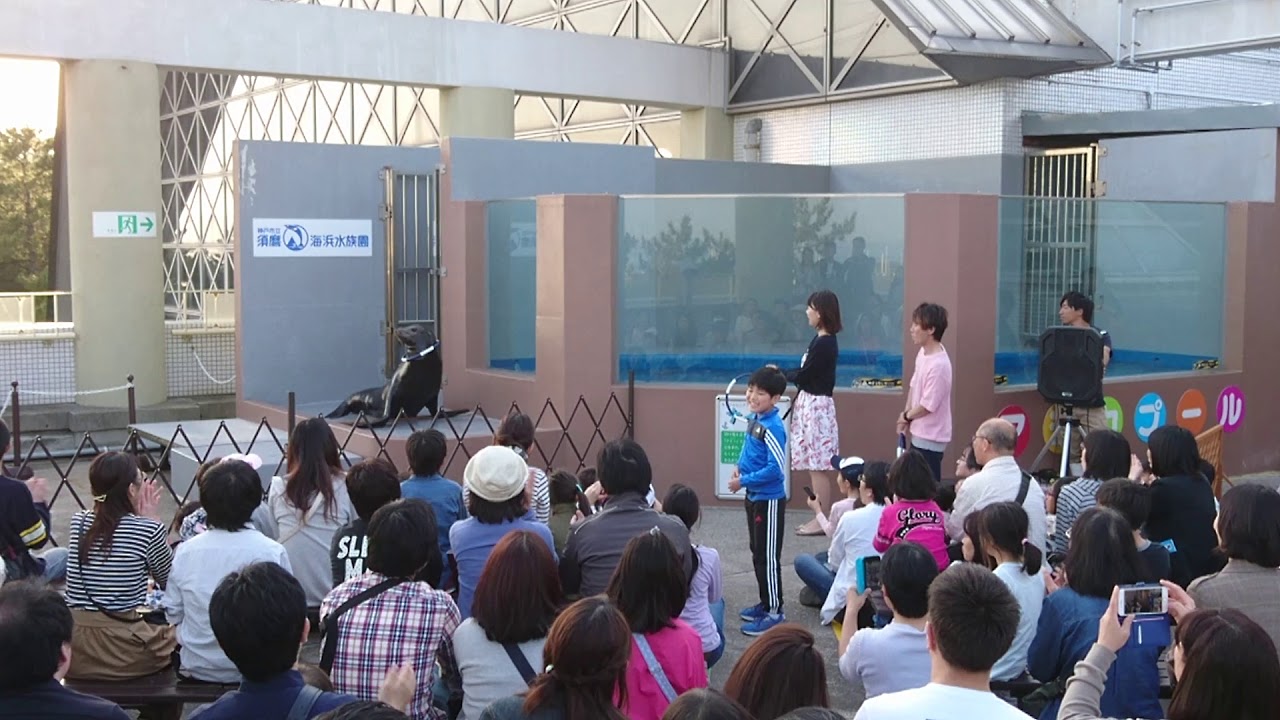 Suma aquarium 09 - YouTube
