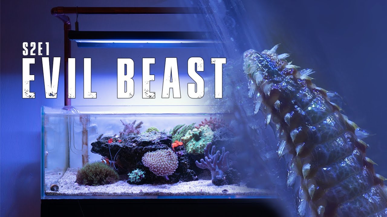 WHATEVER YOU DO, DONT TOUCH IT! - S2E1 - YouTube