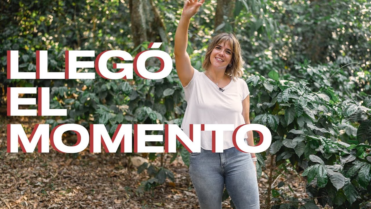 flat&white GUATEMALA para TODO EL MUNDO 📍 ️ - YouTube