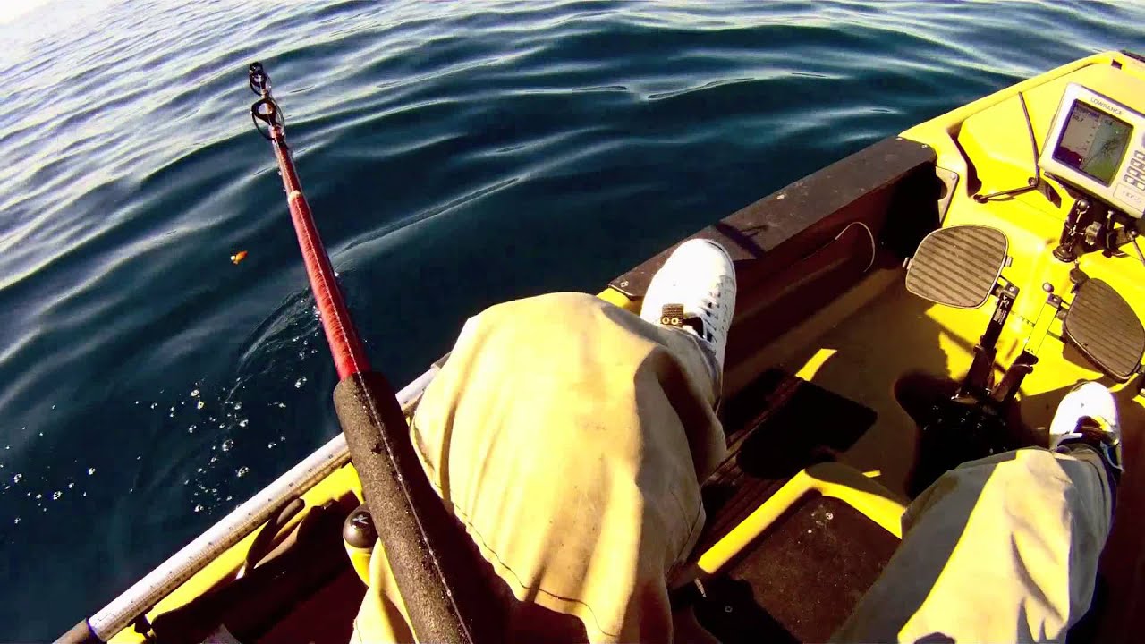 Sea Samurai- Railing Yellowtail on a Kayak - YouTube