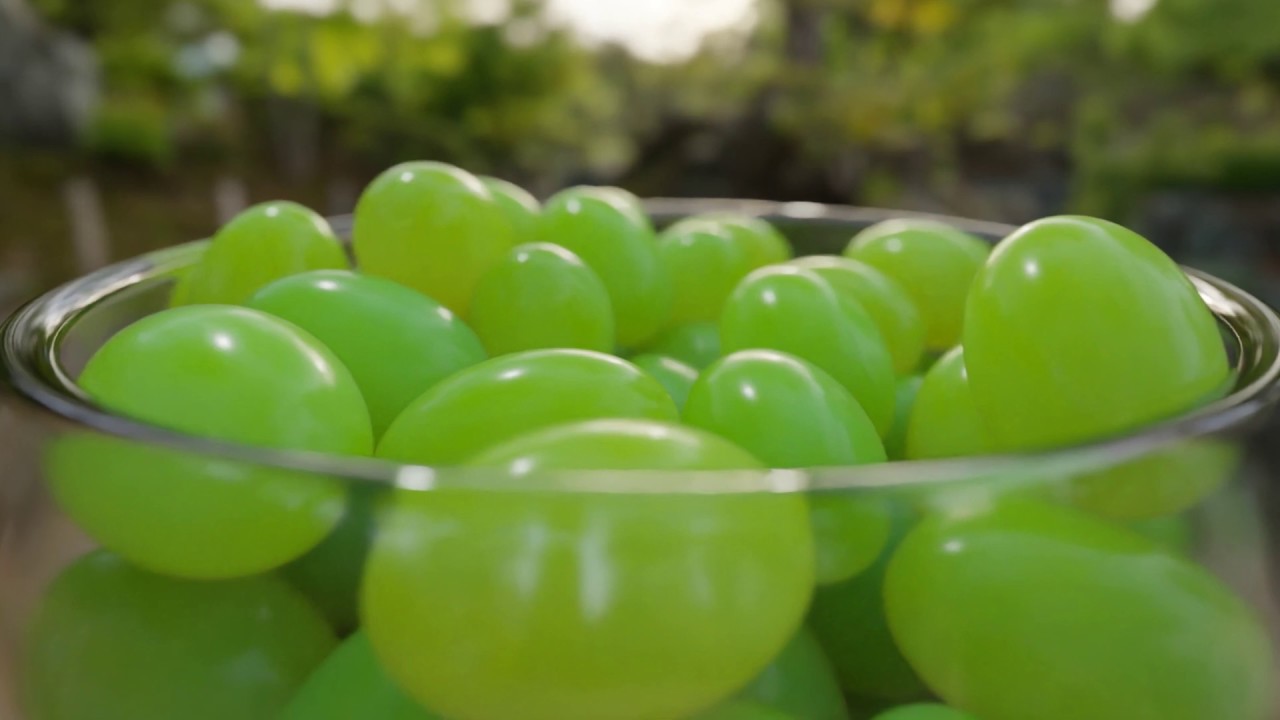 fruits in blender 2.82 tutorial - YouTube