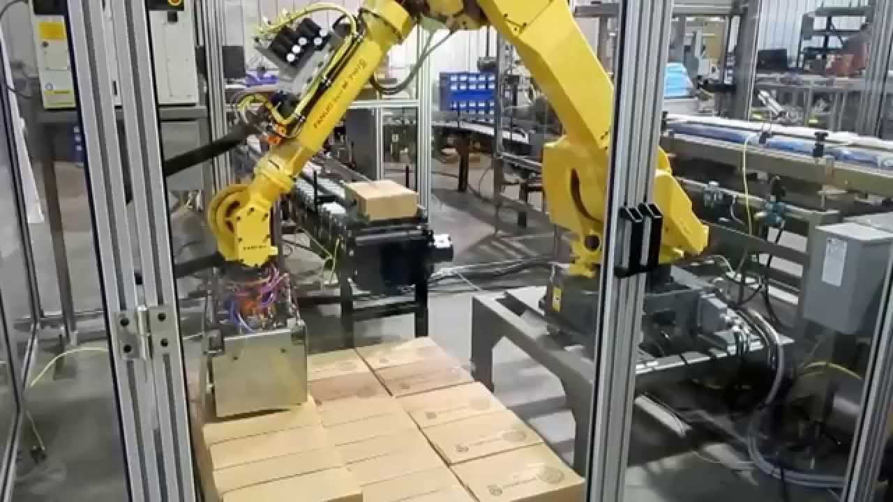 Robotic Case Packing and Palletizing System - YouTube