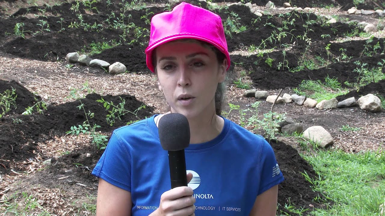 MEVO Farm Hunger Relief Volunteer Event - YouTube