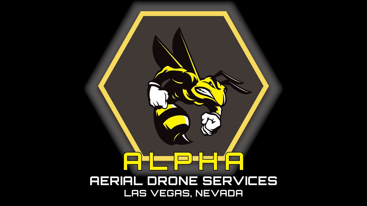 Alpha Drone Service - YouTube