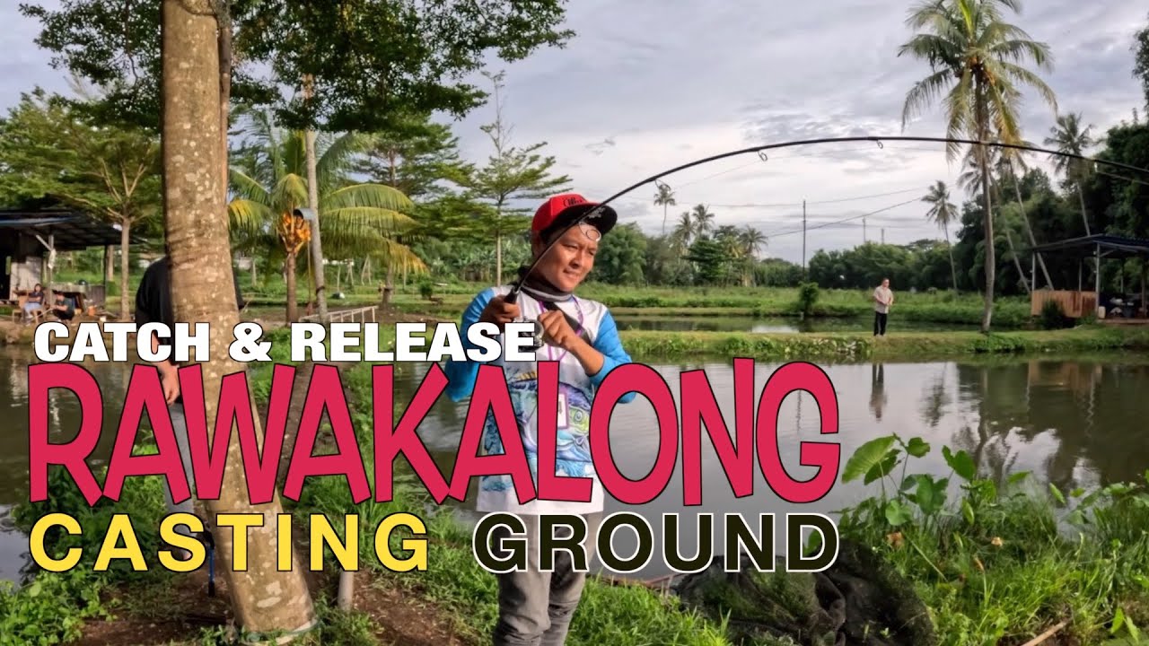 Mancing Perdana Di Rawakalong Casting Ground | catch & release - YouTube