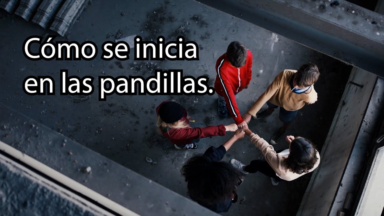 Delincuencia juvenil: ¿Por qué los jóvenes se meten en las pandillas ...