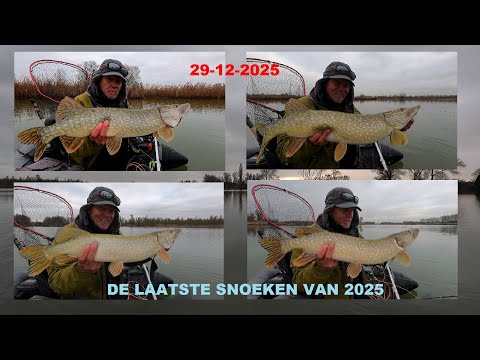 29 12 2025 DE LAATSTE SNOEKEN VAN 2025