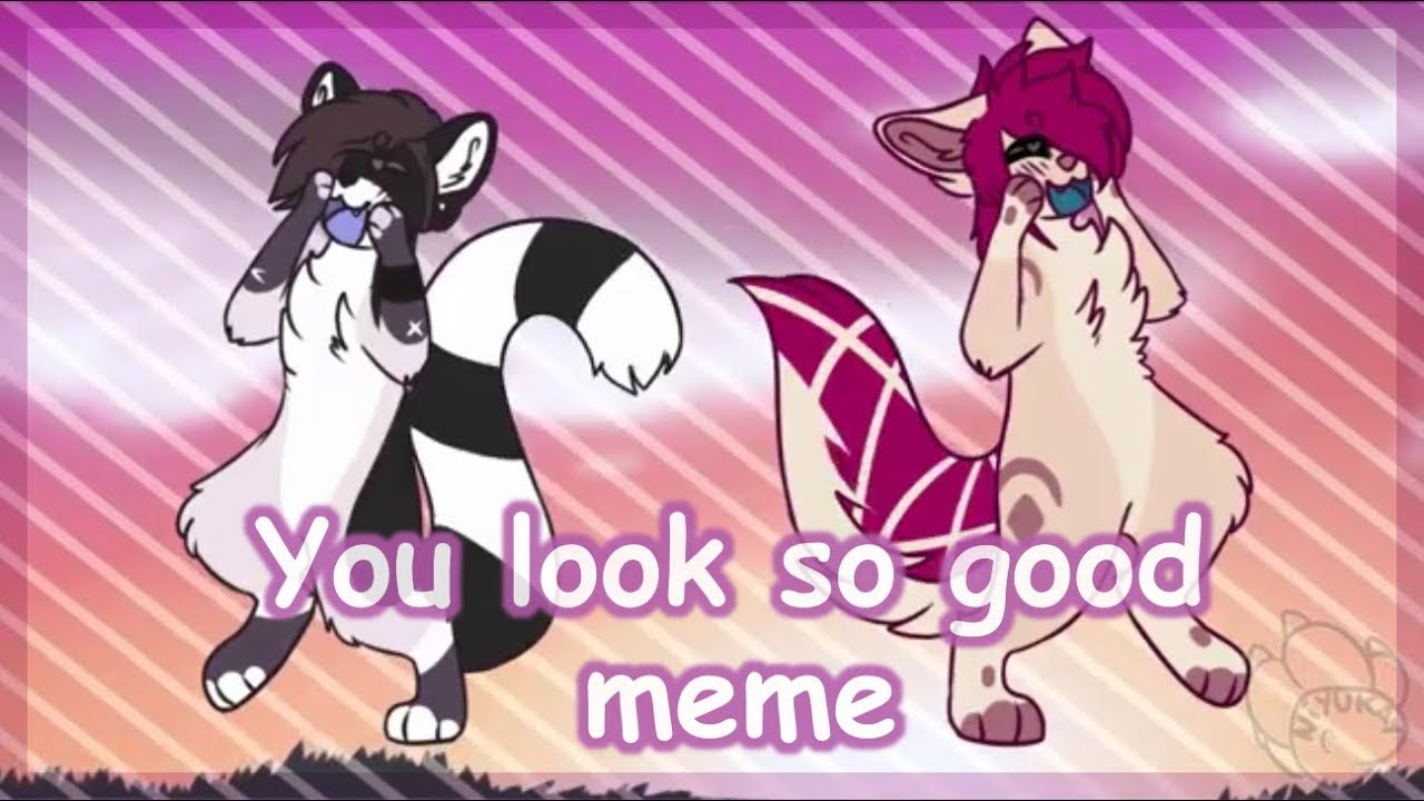 Meme Personnal You Look So Good YouTube meme-personnal-you-look-so-good-youtube