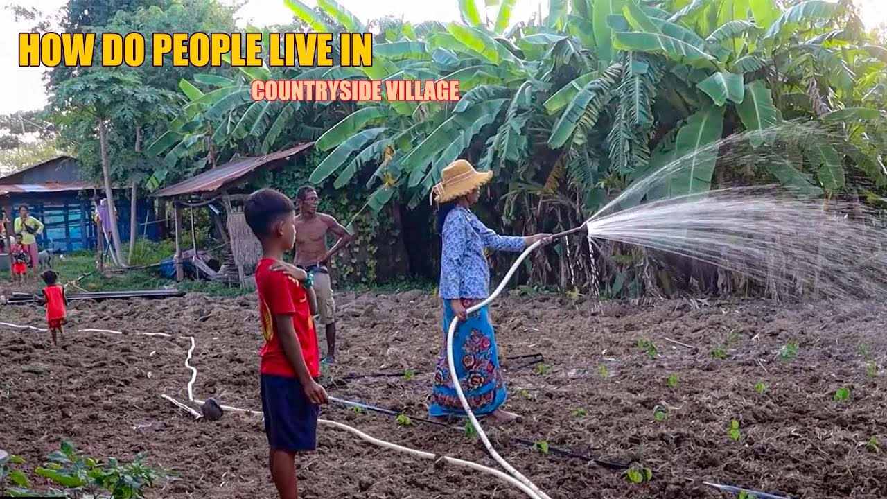 Slow Living : How do people live in countryside village [ Khmer rural ...