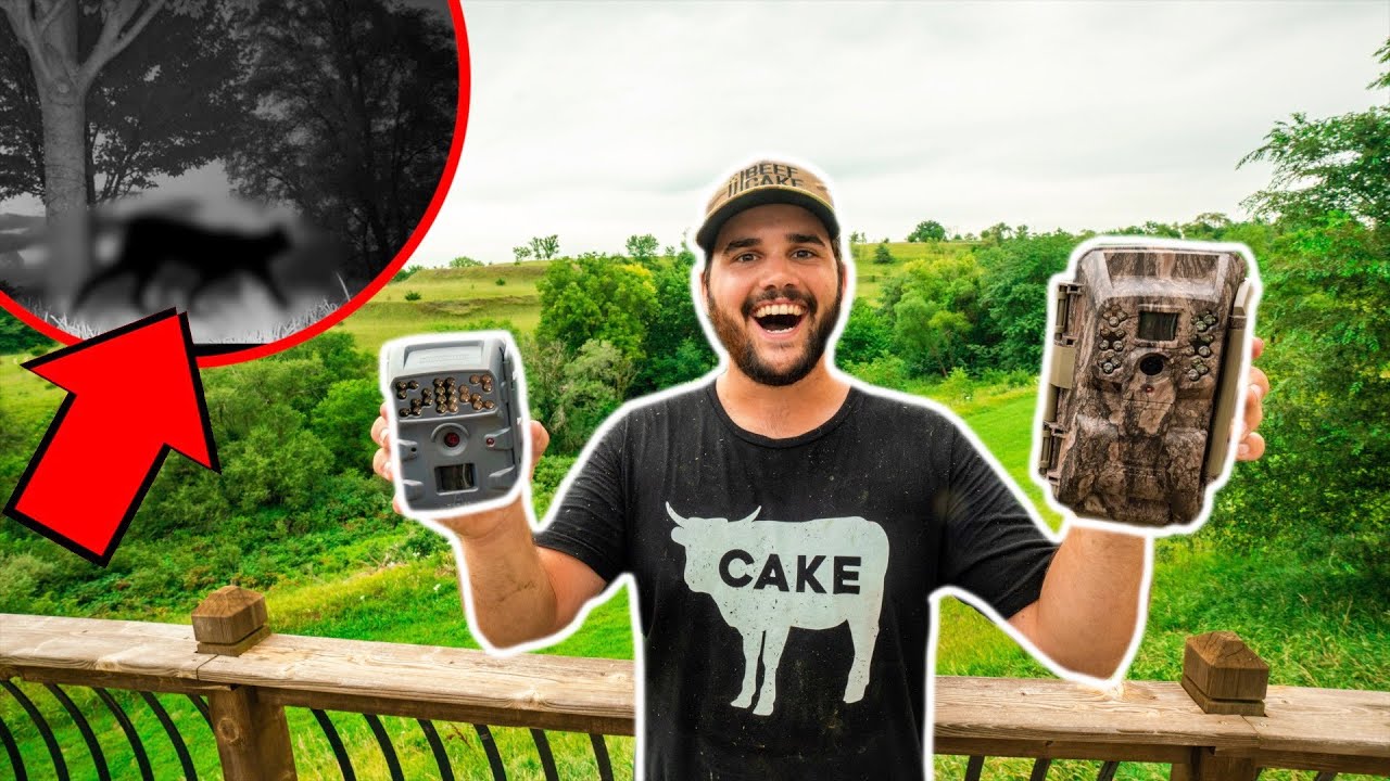 Catching PREDATORS in My BACKYARD using HIDDEN CAMERAS!