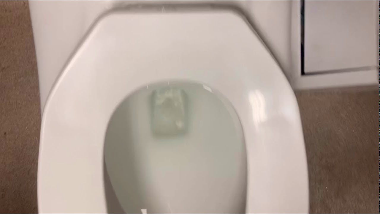 [456] Guy K. Traylor Memorial Stadium Women’s Restroom - YouTube