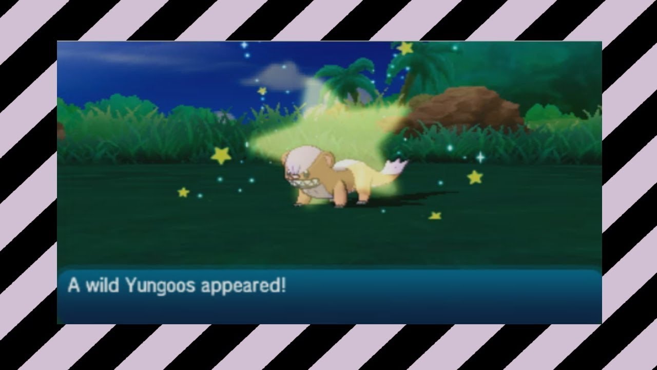 [ISHC 2017 #3] Live! Shiny Yungoos After 1,976 Encounters - Pokemon ...