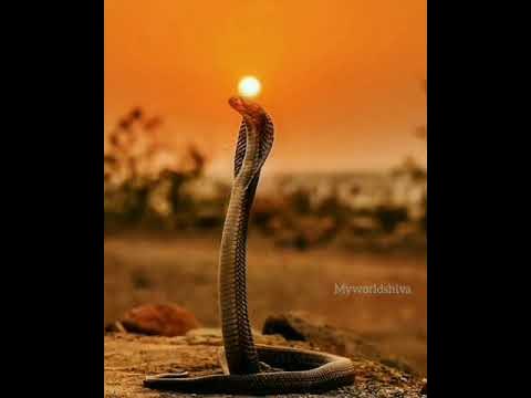 madasi kuruva alli anil anna - YouTube