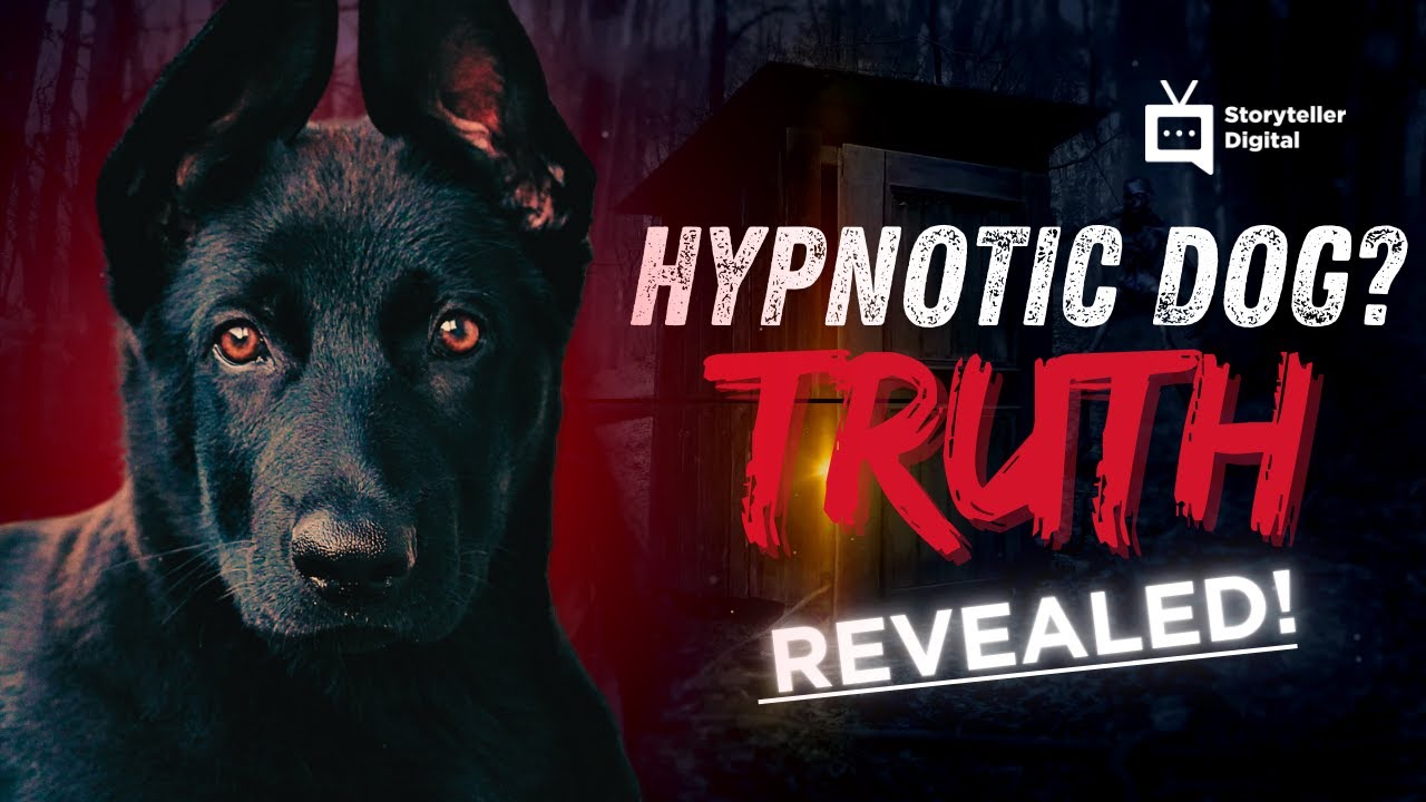 Can This Dog REALLY Hypnotize You? | Unveiling Oscar's Secret Stare ...