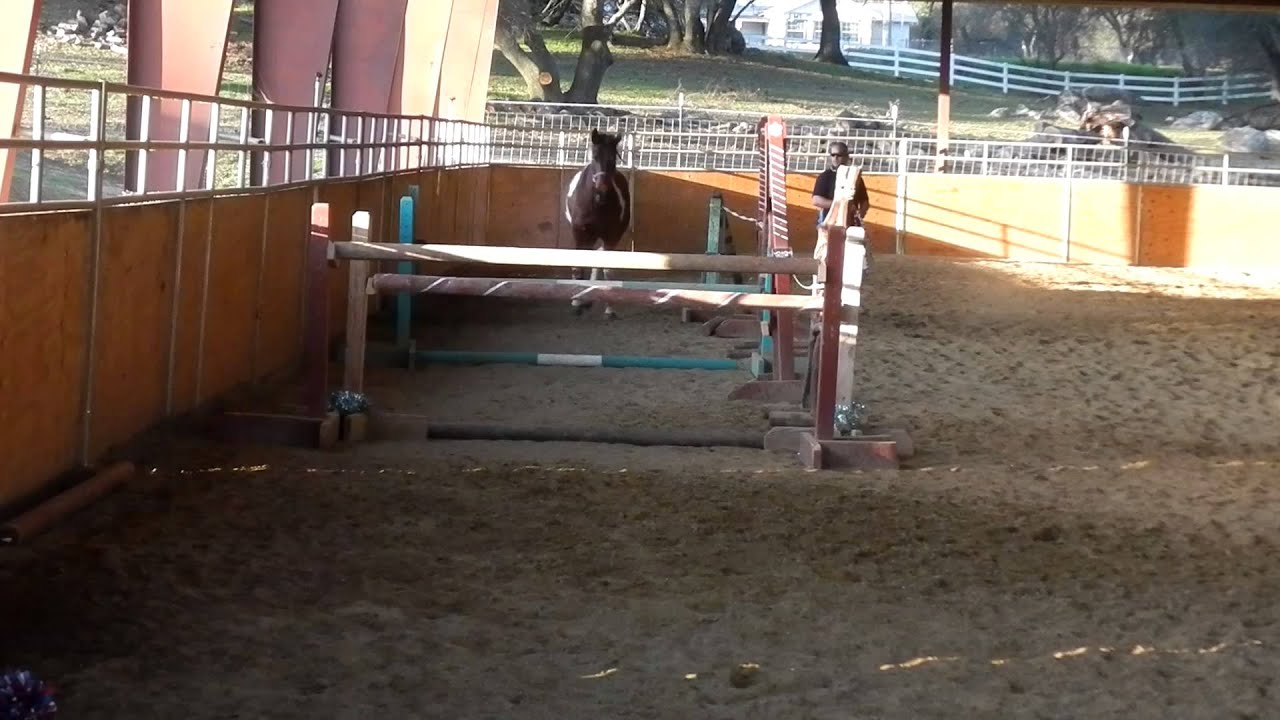 Lacey takes 3'6" - YouTube