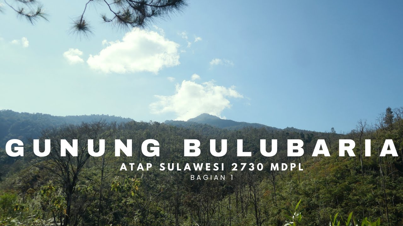 Pendakian gunung Bulubaria #bagian1 - YouTube