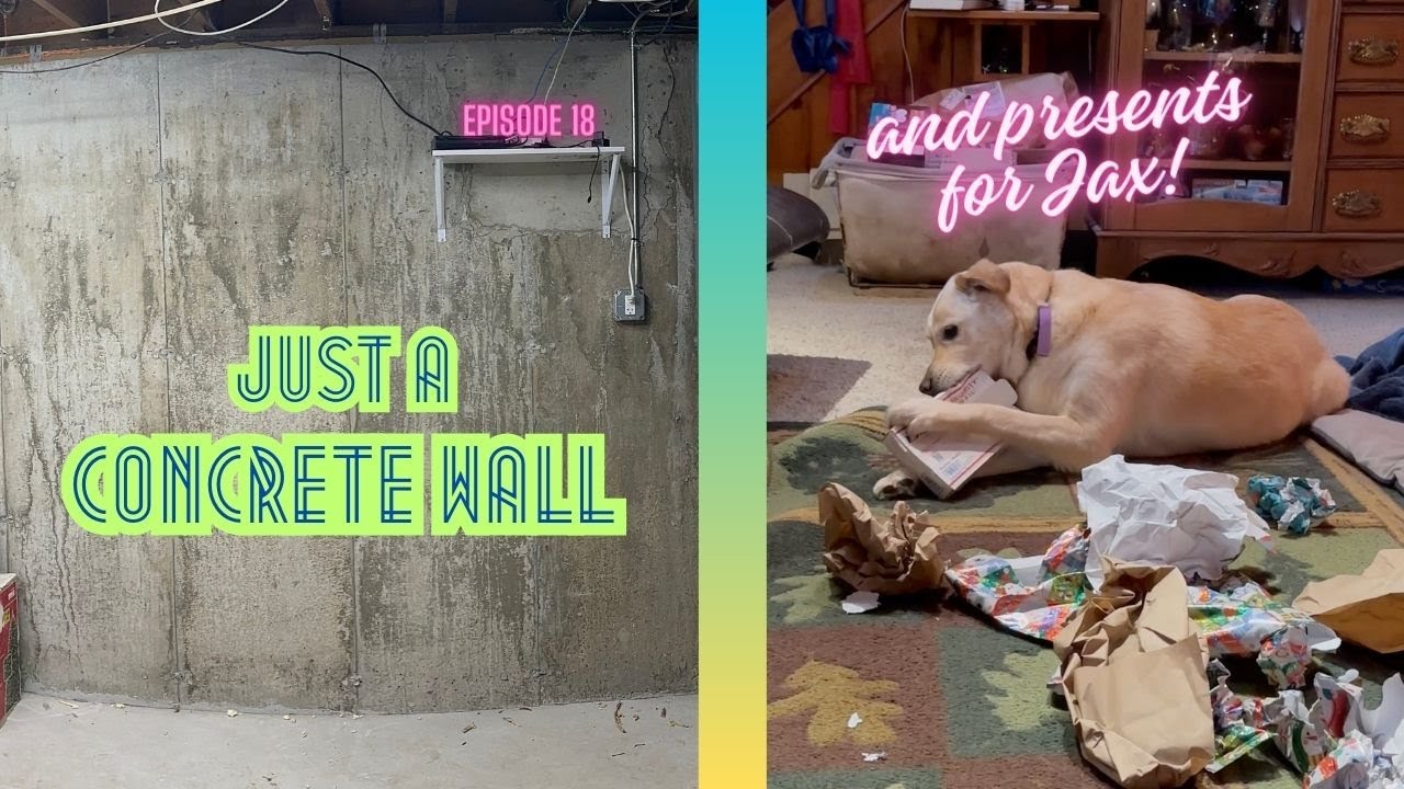 Fixin’ stuff #diy #dogs - YouTube