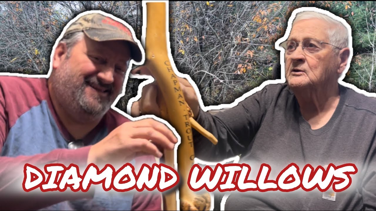 Diamond Willow Walking Sticks the process and the how to - YouTube