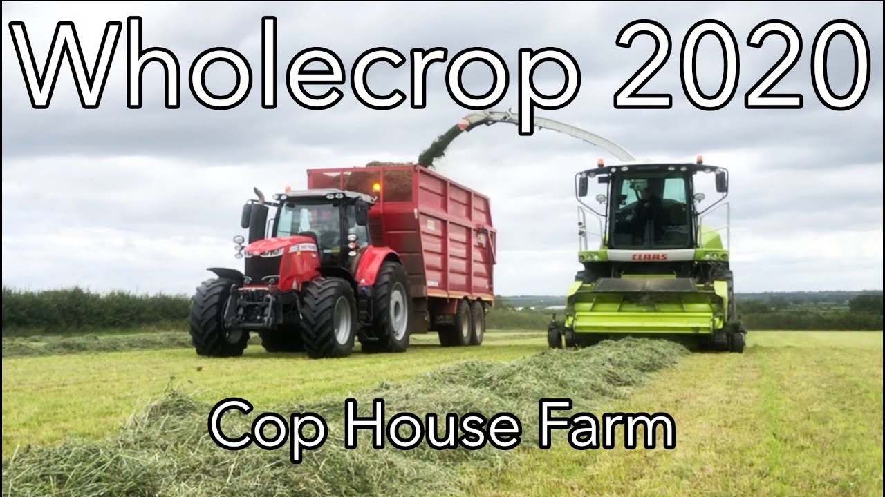 Wholecrop 2020 | Cop House Farm - YouTube